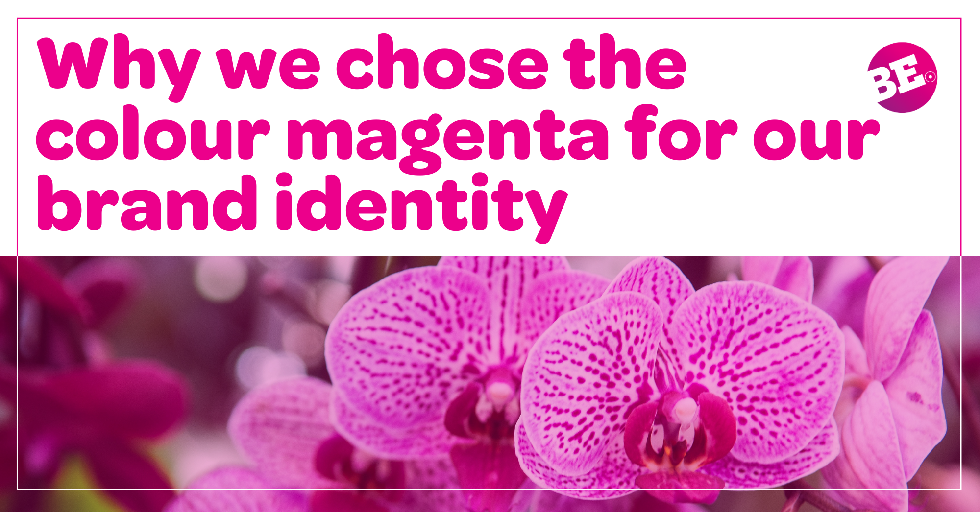 Why we chose the colour magenta for our brand identity - BeSmart